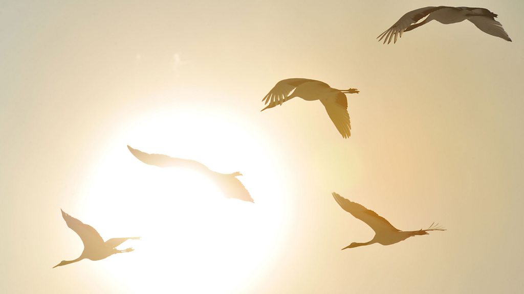 Thought for the Day - Professor Michael Hurley - 28/10/2024 - BBC Sounds