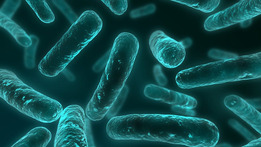 Antibiotic resistance: World on cusp of 'post-antibiotic era' - BBC News