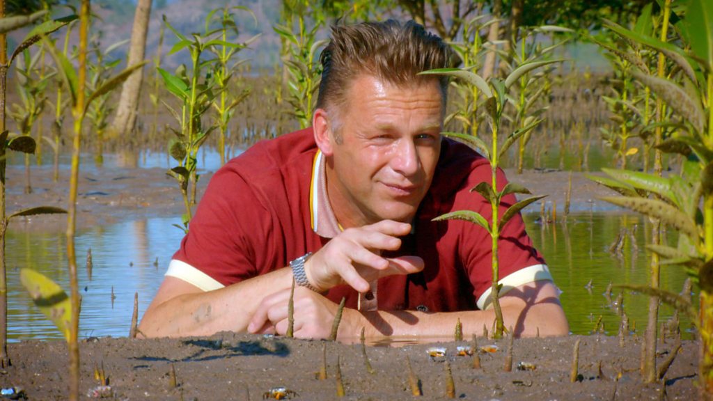 Midweek - Ian Ogilvy, Ella Al-Shamahi, Chris Packham, Ralph McTell ...