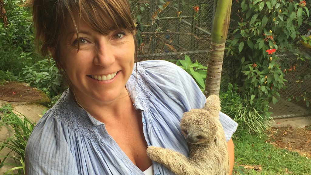 The Power of... - The Power of Cute - BBC Sounds