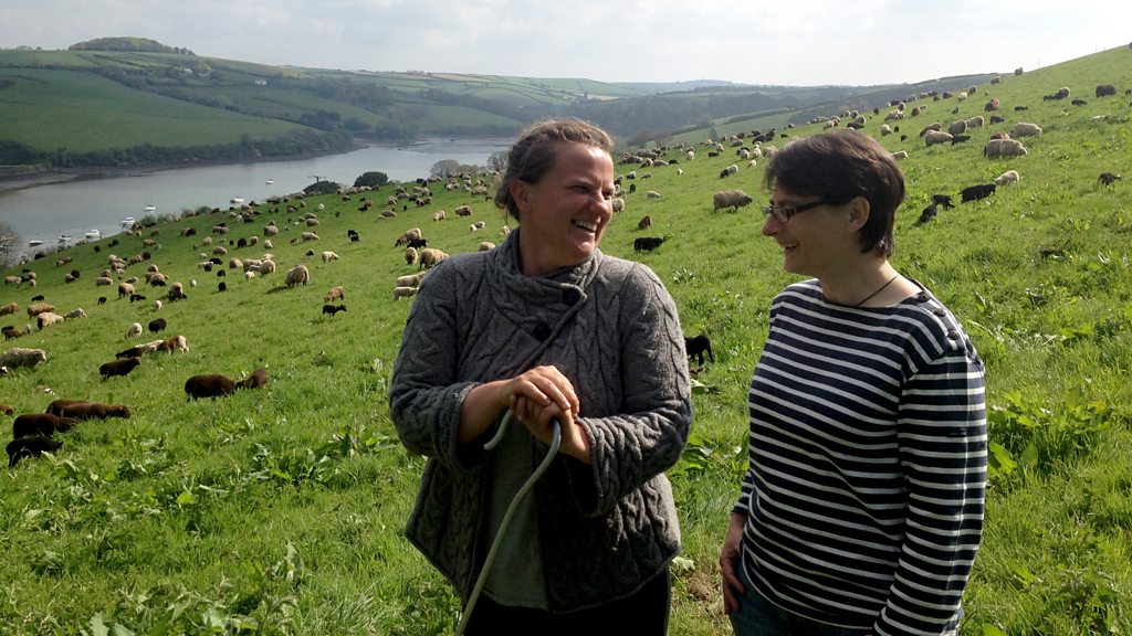 On Your Farm - Wild Farming in South Devon - BBC Sounds