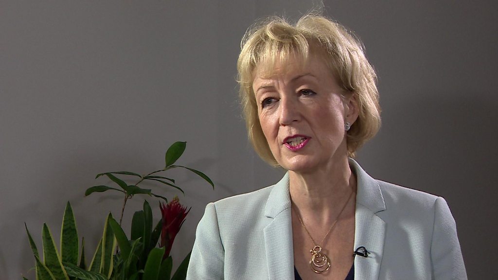 Tory contender: Andrea Leadsom - BBC News