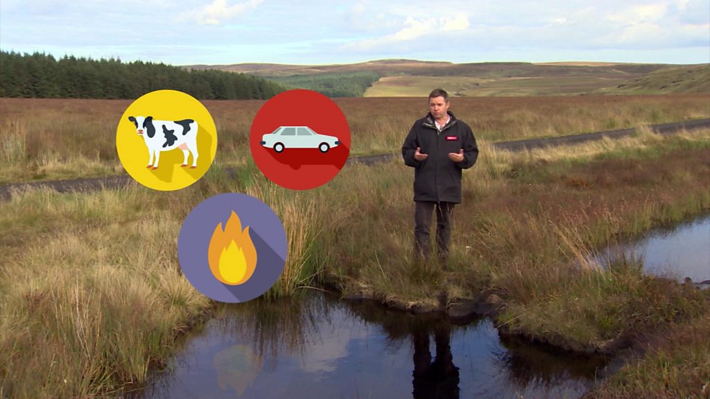 Northern Ireland must act to prepare for climate change - BBC News