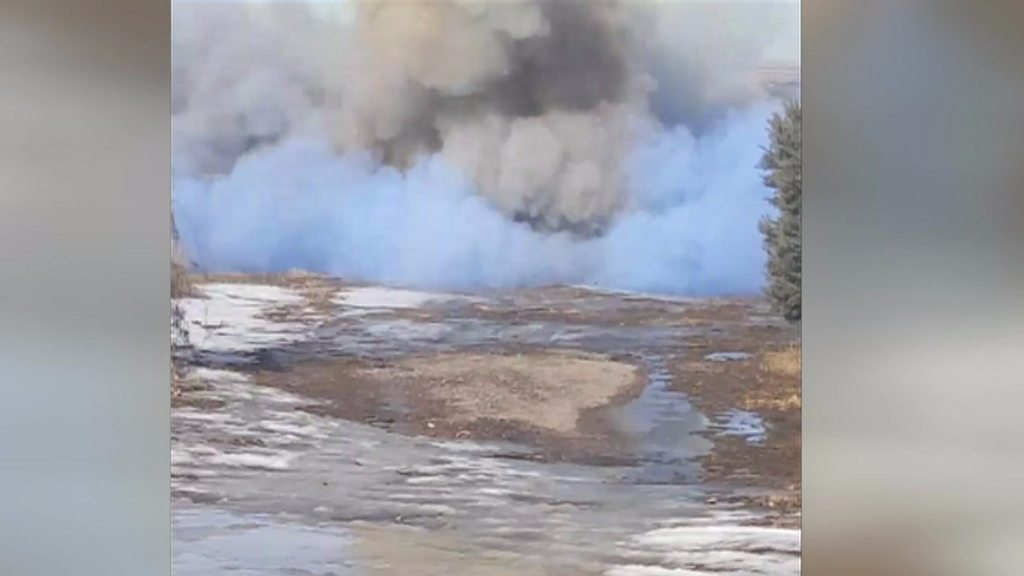 US man hails wife's pregnancy with blue smoke explosion - BBC News