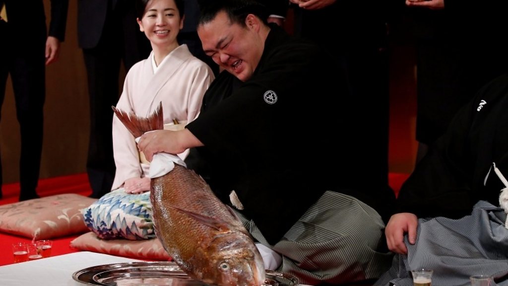 Japan gets first sumo champion in 19 years - BBC News