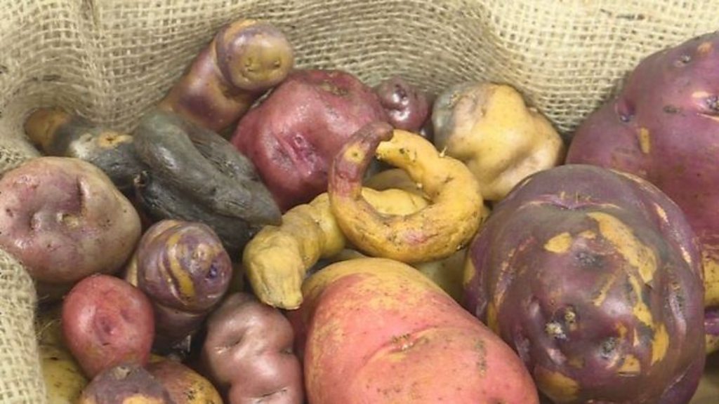 Scottish institute contributes rare potato seeds to global vault - BBC News