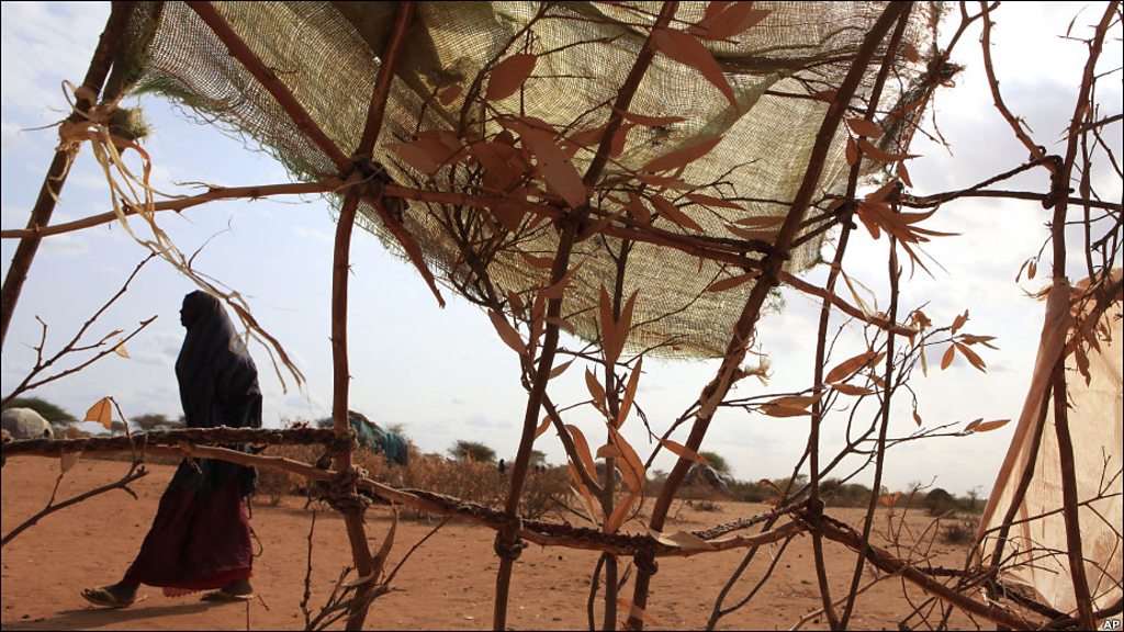 Musiibada abaaraha ee ku habsatay gobolka Waqooyi Bari - BBC News Somali