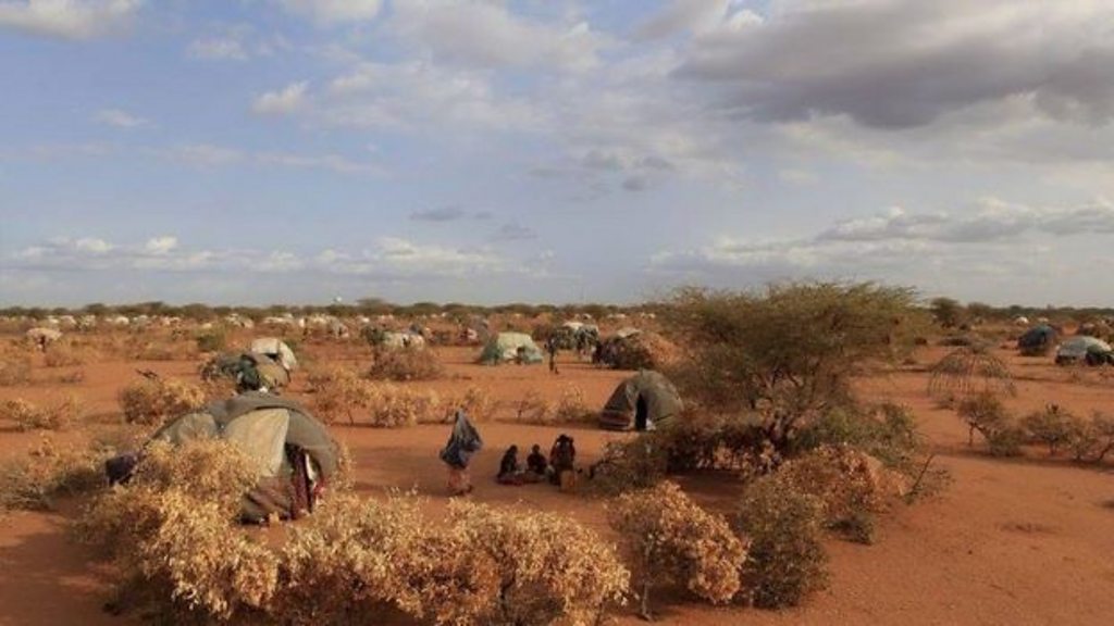 Abaarta gobolka Sool oo meel xun gaartay - BBC News Somali