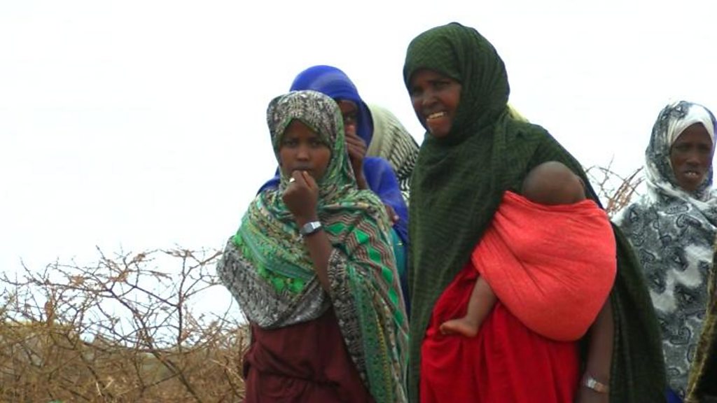 Sumadda xoolaha Soomaalida: Ururin xog iyo faallayn - BBC News Somali