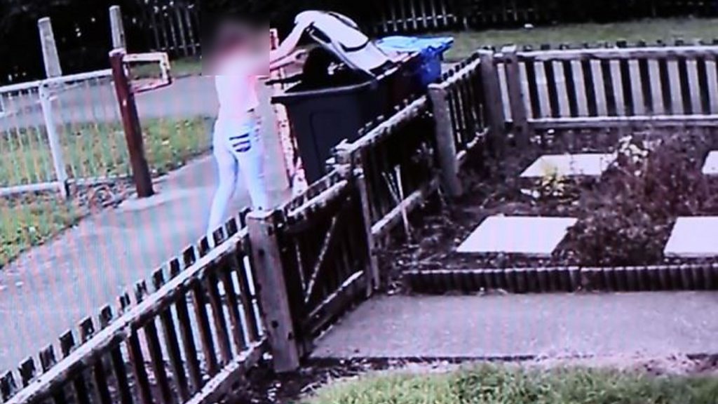 Cat dumped in bin by girl caught on CCTV in Hull - BBC News