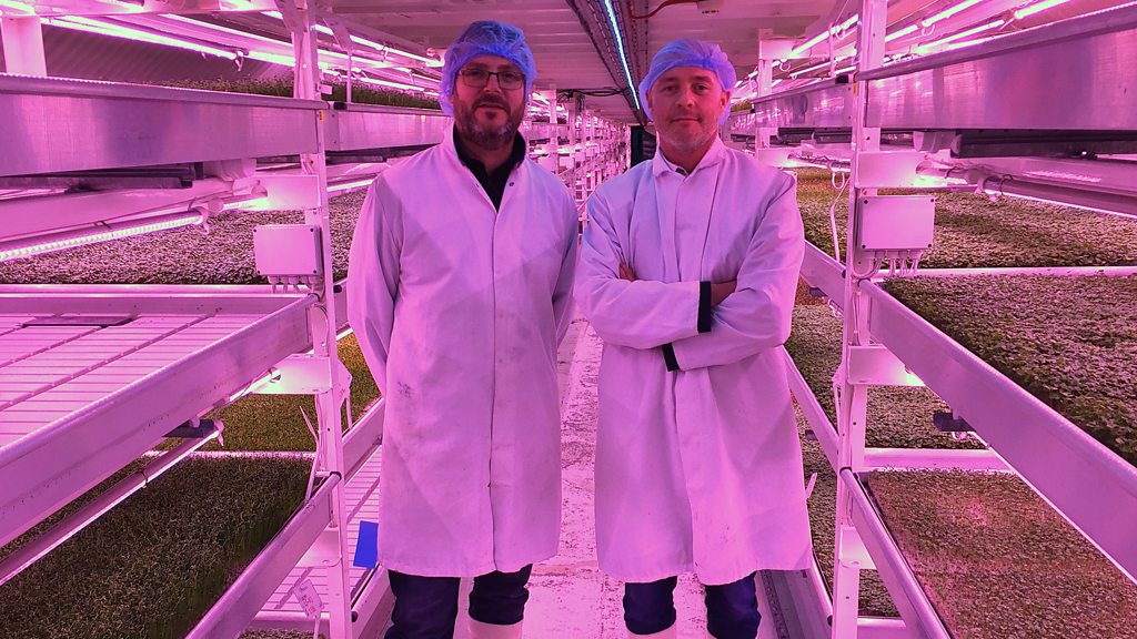 On Your Farm - Future Food: Growing Underground - BBC Sounds