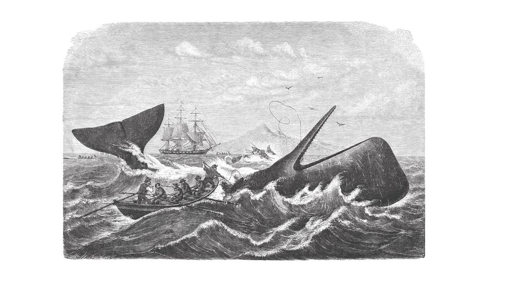 In Our Time - Moby Dick - BBC Sounds