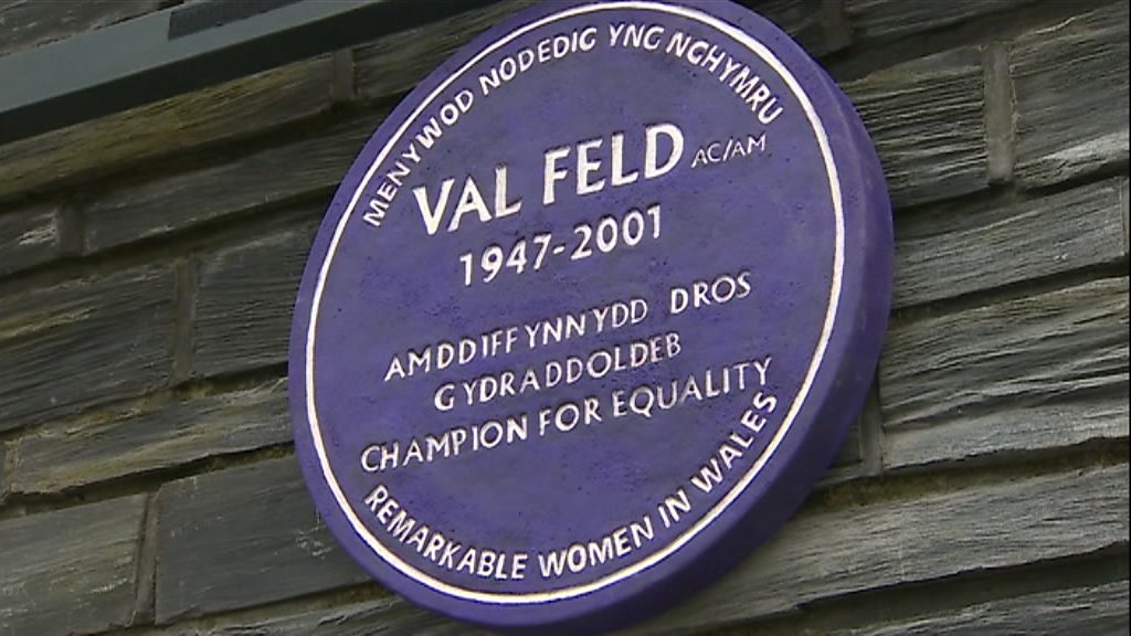 First purple plaque to honour late AM Val Feld - BBC News