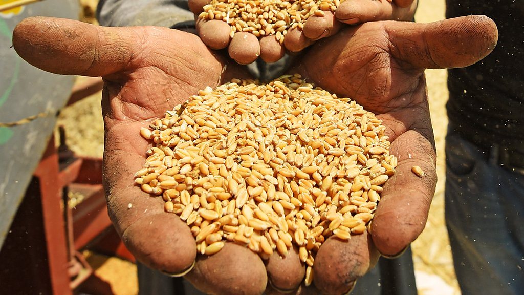 Business Daily - Farming's Future: Made in the Lab - BBC Sounds