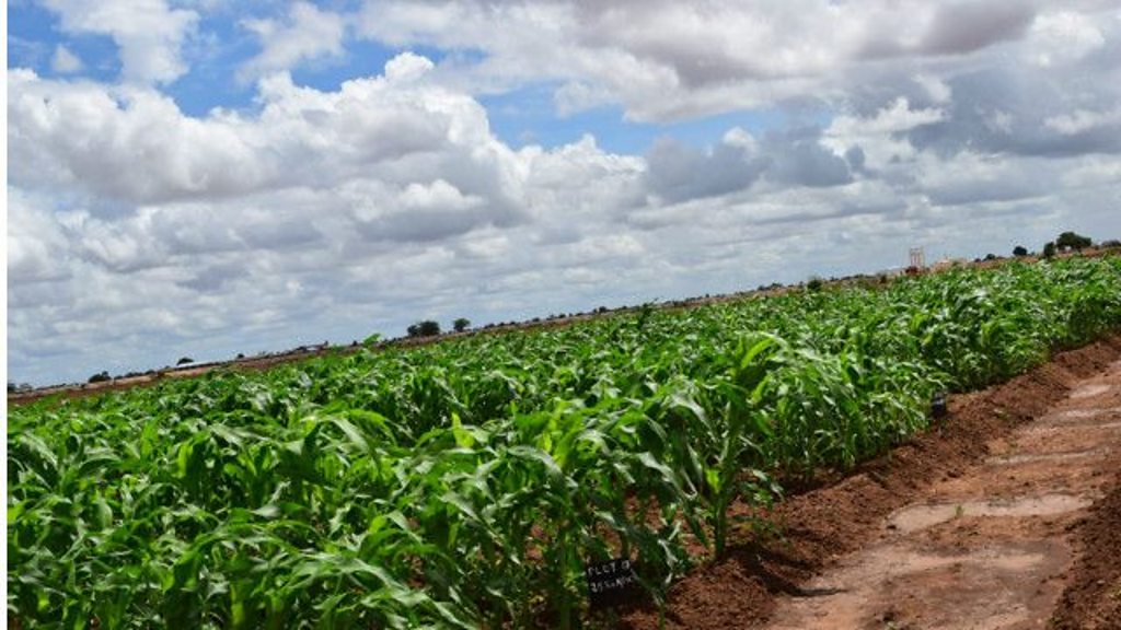 Dumar horumar ka gaaray dhaqashada xoolaha iyo wax soo saarka beeraha ...