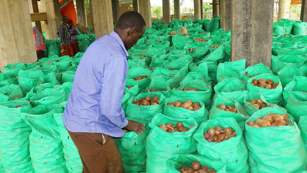 Beeroleyda Godey oo beerashada basasha ka bartay dadka Baay iyo Bakool ...