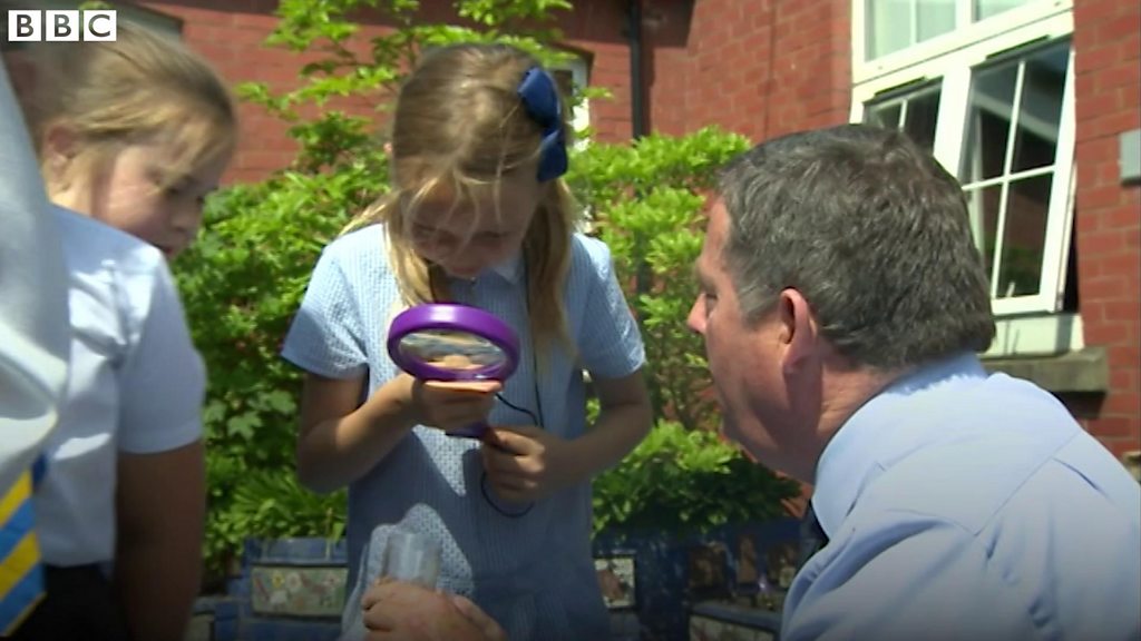 Estyn review: 'Stop inspections during curriculum change' - BBC News