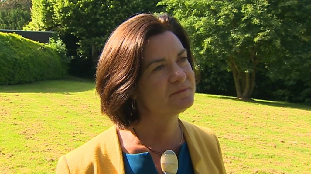 Eluned Morgan joins Welsh Labour leadership race - BBC News