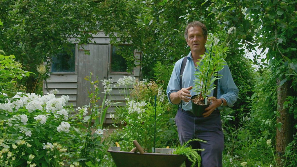 BBC Two - Gardeners' World, 2018, Episode 17, Extending the flowering ...
