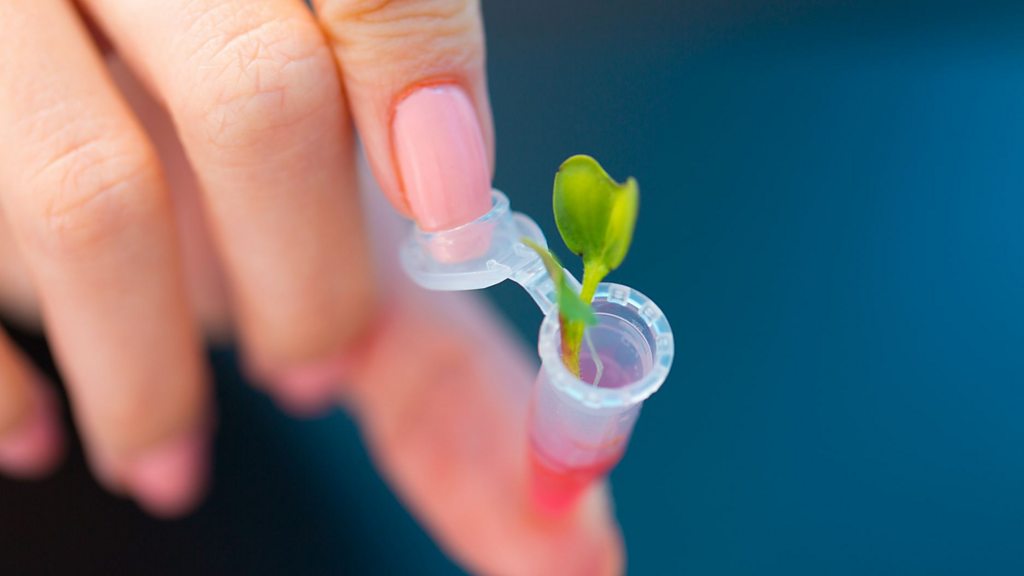 BBC Sounds - Growing Science - Available Episodes