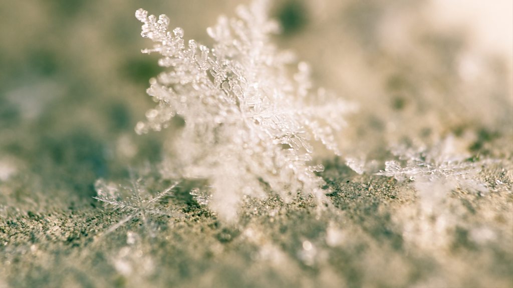 Start the Week - Safe spaces and snowflakes - BBC Sounds