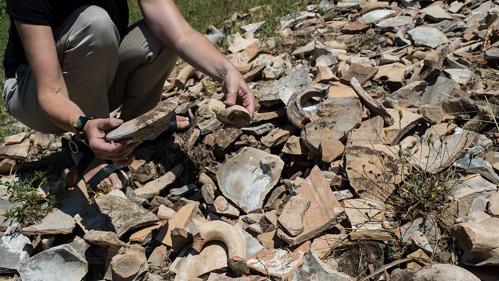 The Compass - The History of Wastefulness - The History of Wastefulness ...