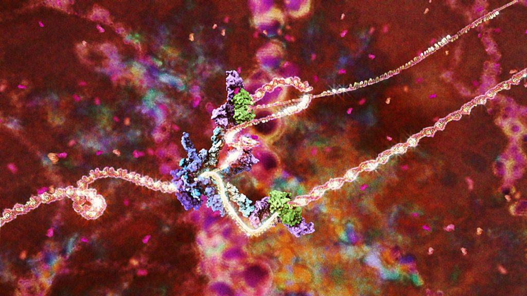 Art of Now - Recombinant Rhymes and DNA Art - BBC Sounds