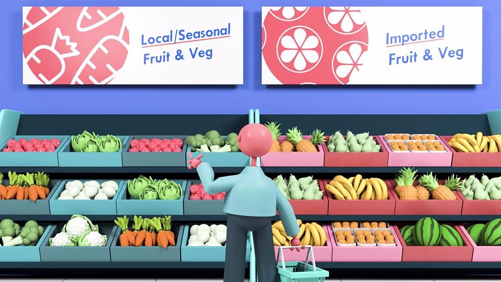 BBC - Plastic Not Fantastic, Things you can do if you want to make a ...