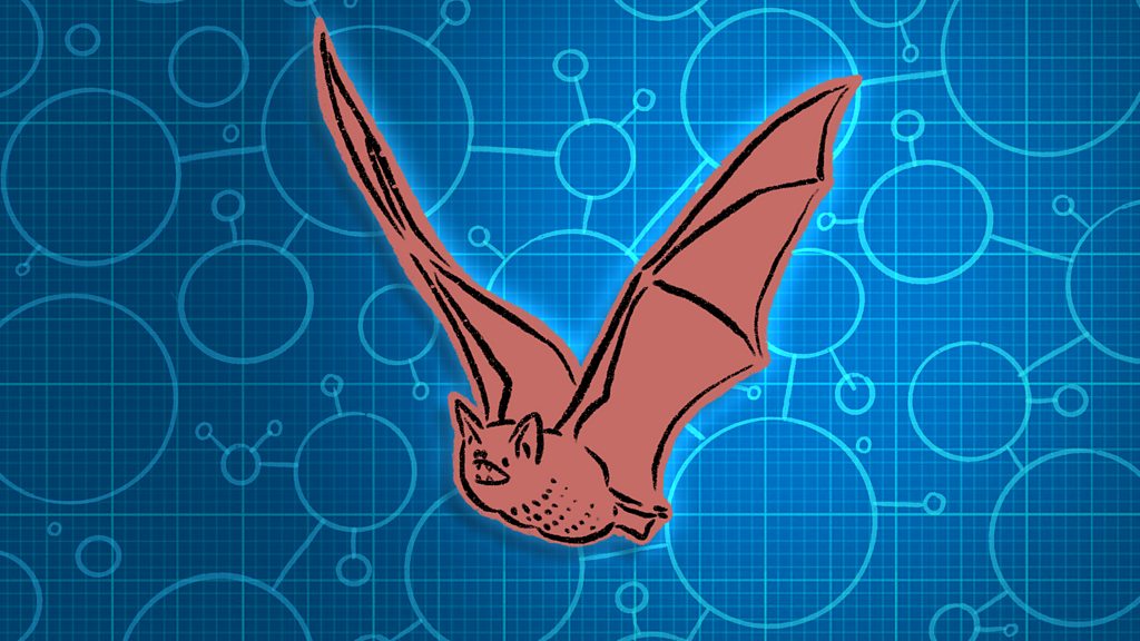 30 Animals That Made Us Smarter - Bat and unassisted flight - BBC Sounds