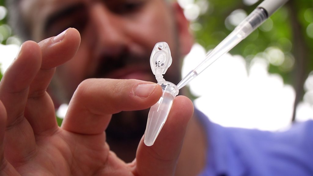 People Fixing The World - A new way to detect an invisible poison in ...