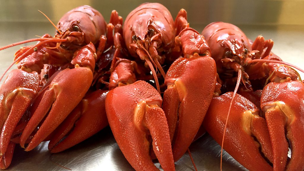 You and Yours - Crayfish, School buses, Mystery phone charges - BBC Sounds