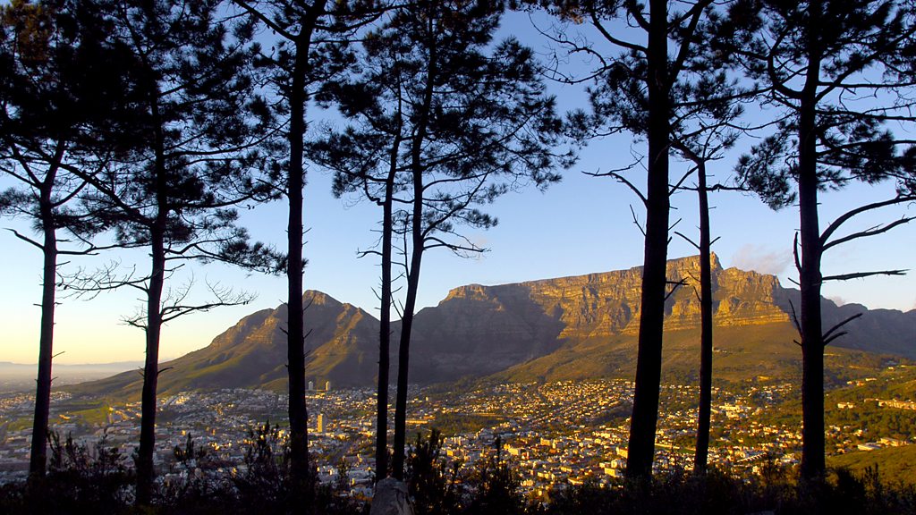 Sounding The Cape - BBC Sounds