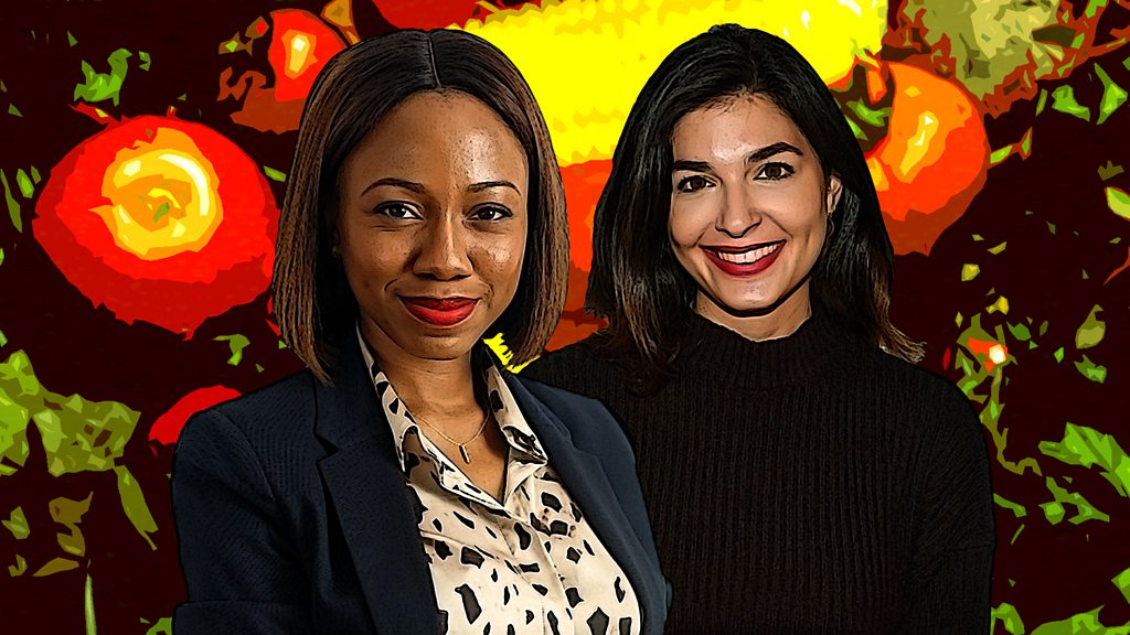 The Conversation - Vegan campaigners - BBC Sounds