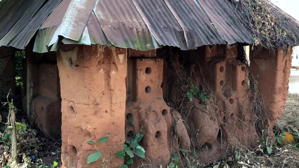 Igbo Culture: Ihe omimi dị n'ichi ọzọ n'ala Igbo - BBC News Ìgbò