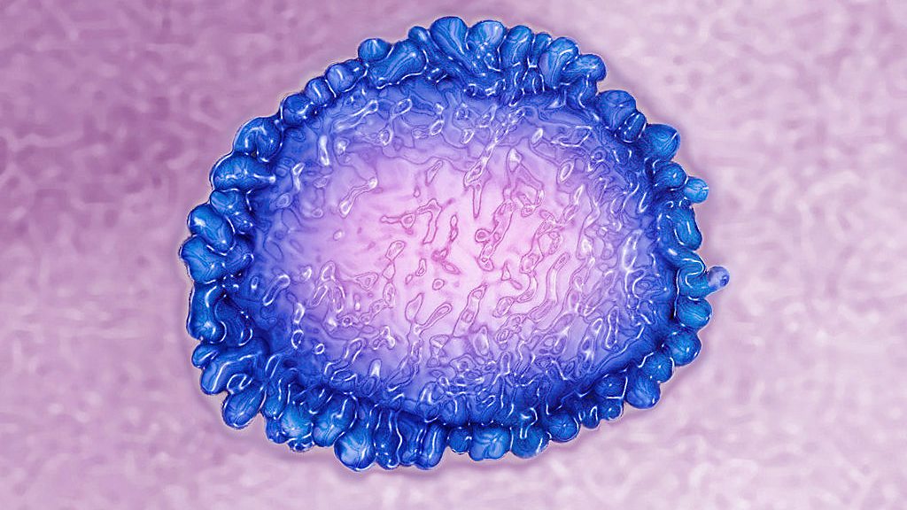 Virus corona: Đại dịch là gì? - BBC News Tiếng Việt