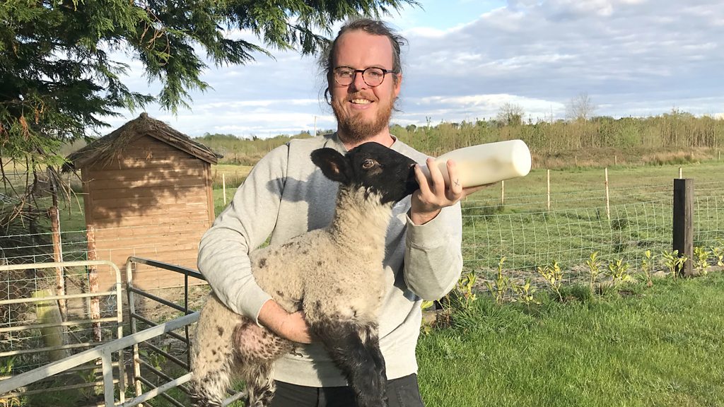 On Your Farm - Bard of the Beef - BBC Sounds