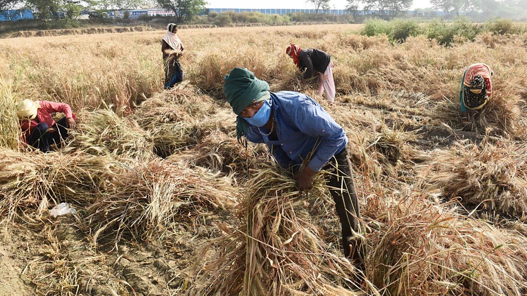 Bbc Audio Worklifeindia How Is The Coronavirus Crisis Hitting India