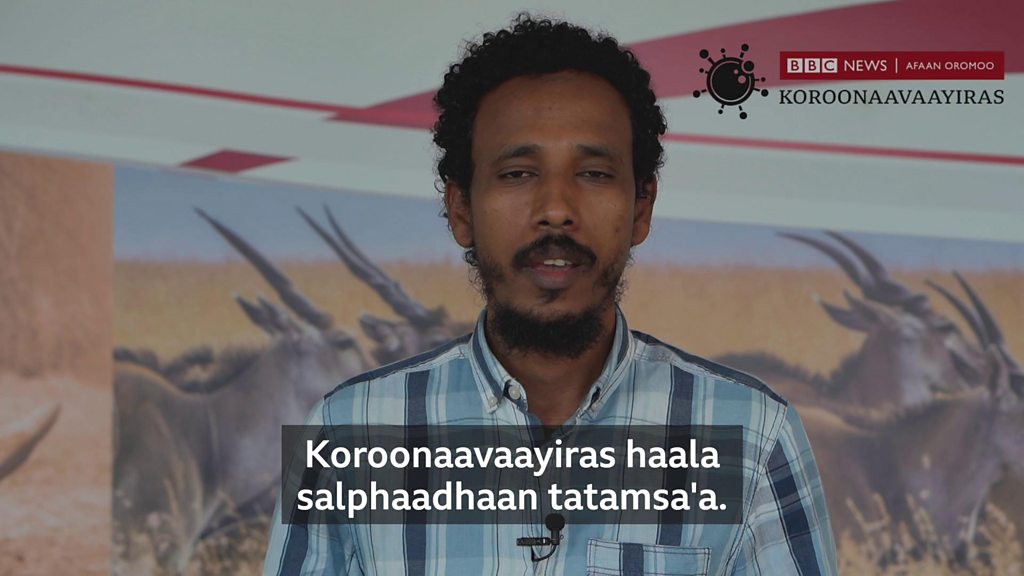 Covid-19: Talaalliin Chaayinaa 'yaaliirra jiru milkaa'ina gaarii agarsiise' - BBC News Afaan Oromoo