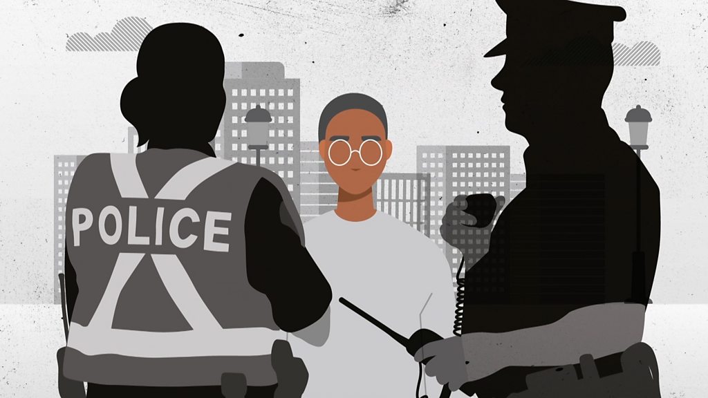 Institutional Racism Definition Examples And Forms Hidden In Plain