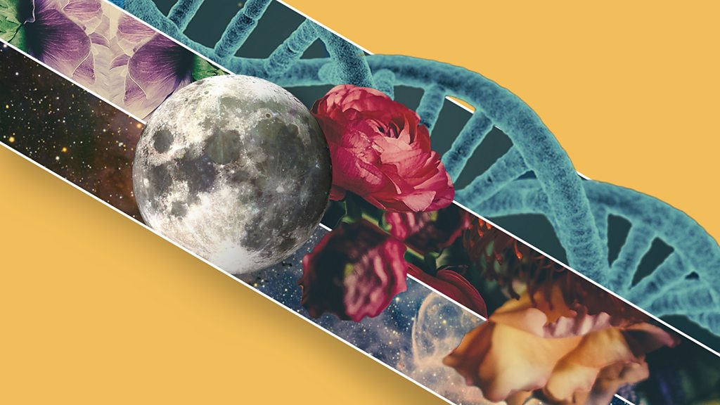 Scientifically... - Long Covid - BBC Sounds