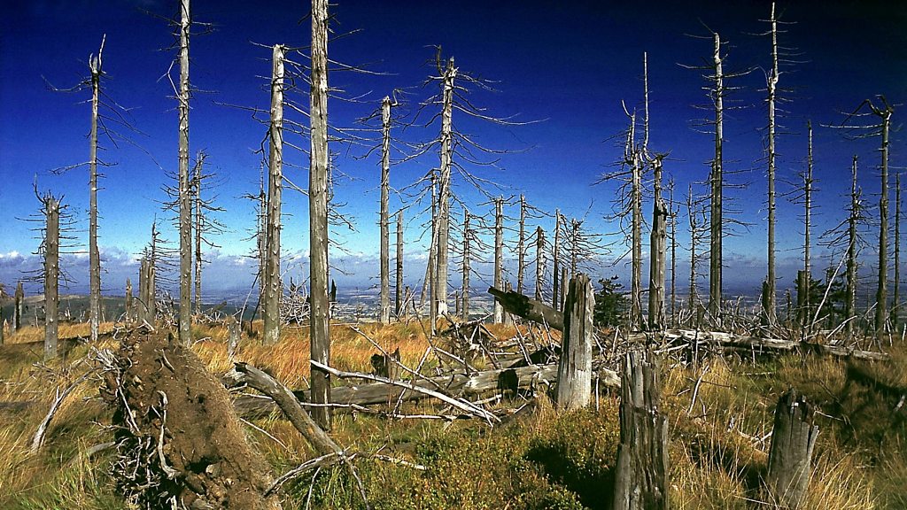 Witness History - Acid rain - BBC Sounds