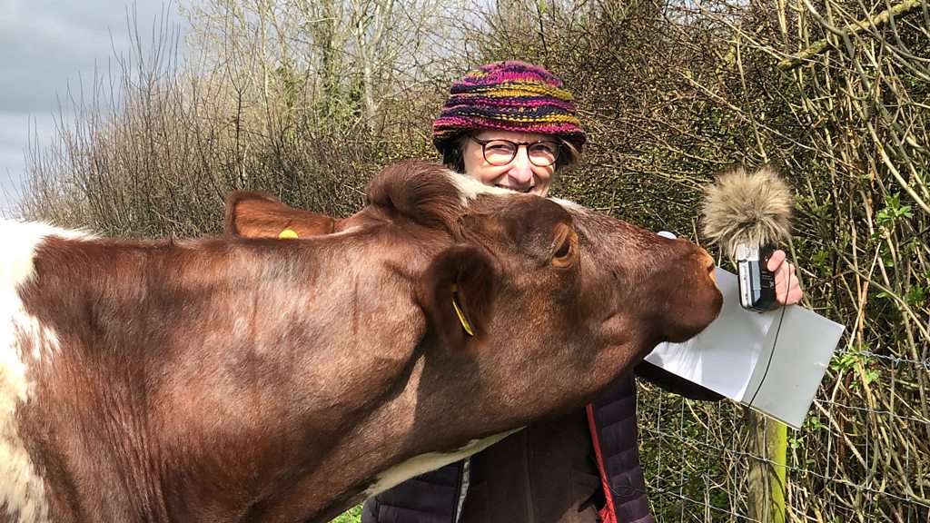 On Your Farm - Your Farming Questions Answered - BBC Sounds