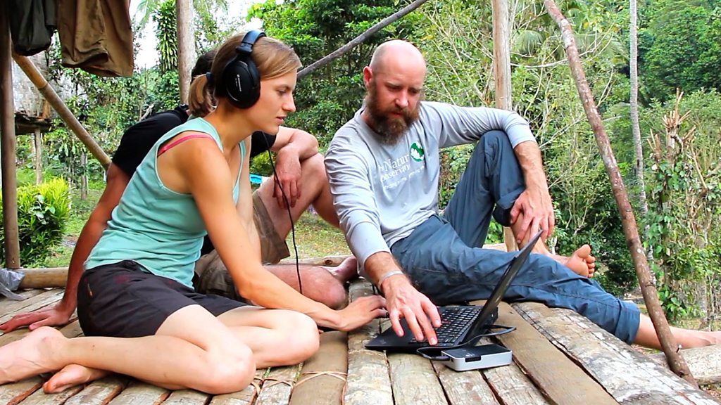 People Fixing The World - The forest sound detectives - BBC Sounds