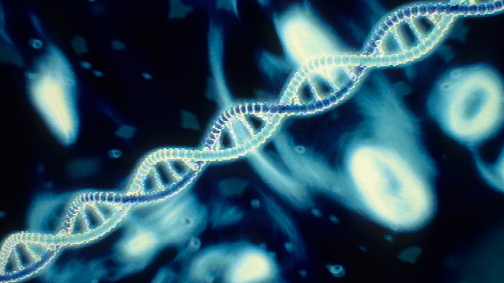 In Touch - A Genetics Special - BBC Sounds