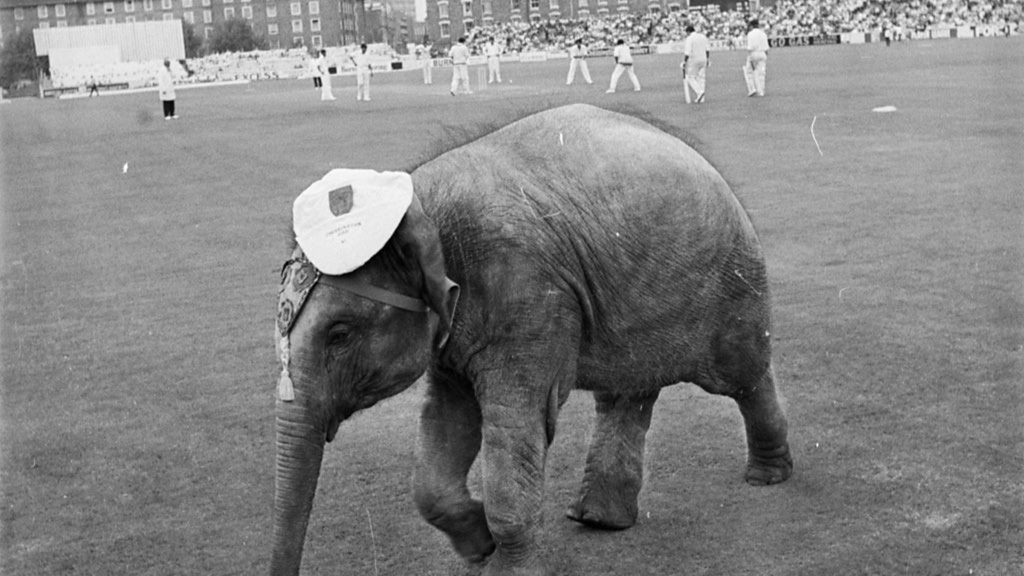Test Match Special Podcast - A Sleeping captain, Bella the Elephant and ...