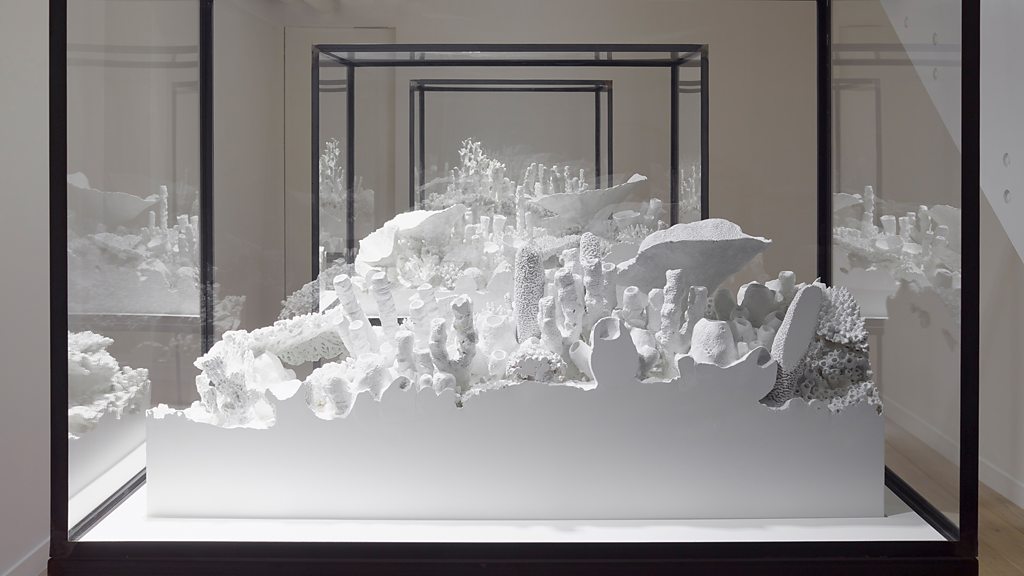 Free Thinking - Oceans, art and pacific poetry - BBC Sounds