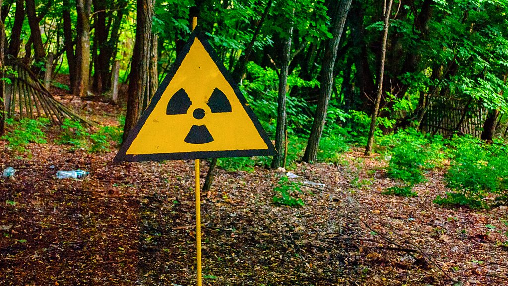 Science In Action - Radioactive Red Forest - BBC Sounds