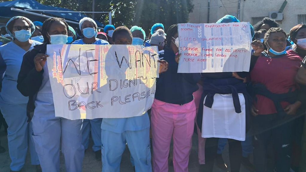 World Business Report - Doctors and teachers on strike in Zimbabwe ...