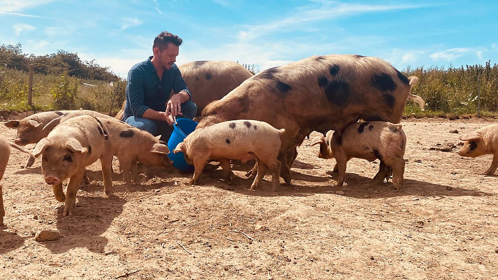 On Your Farm - Jimmy's Farm - BBC Sounds