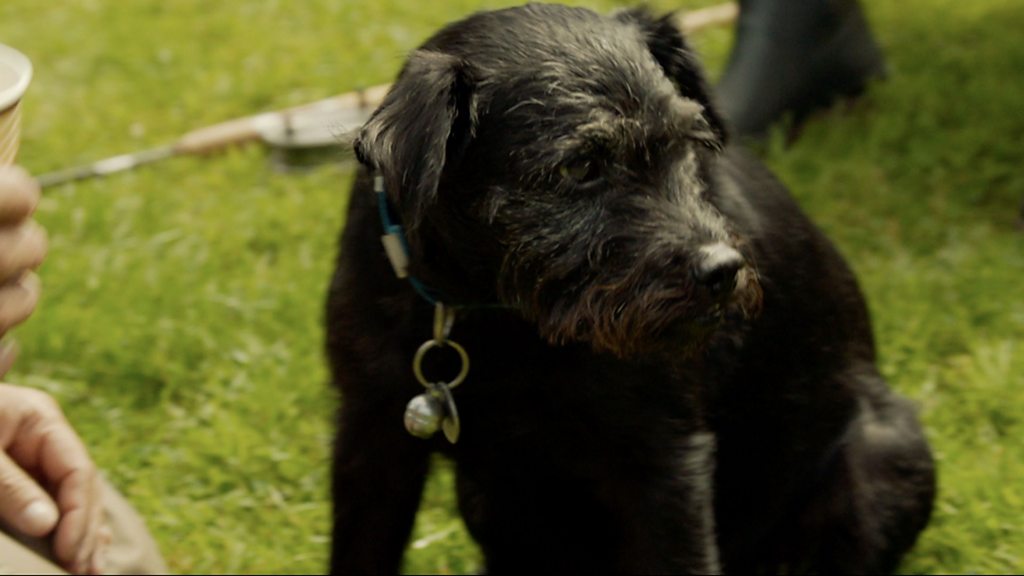 BBC Two - Mortimer & Whitehouse: Gone Fishing, Series 5, Episode 5 ...